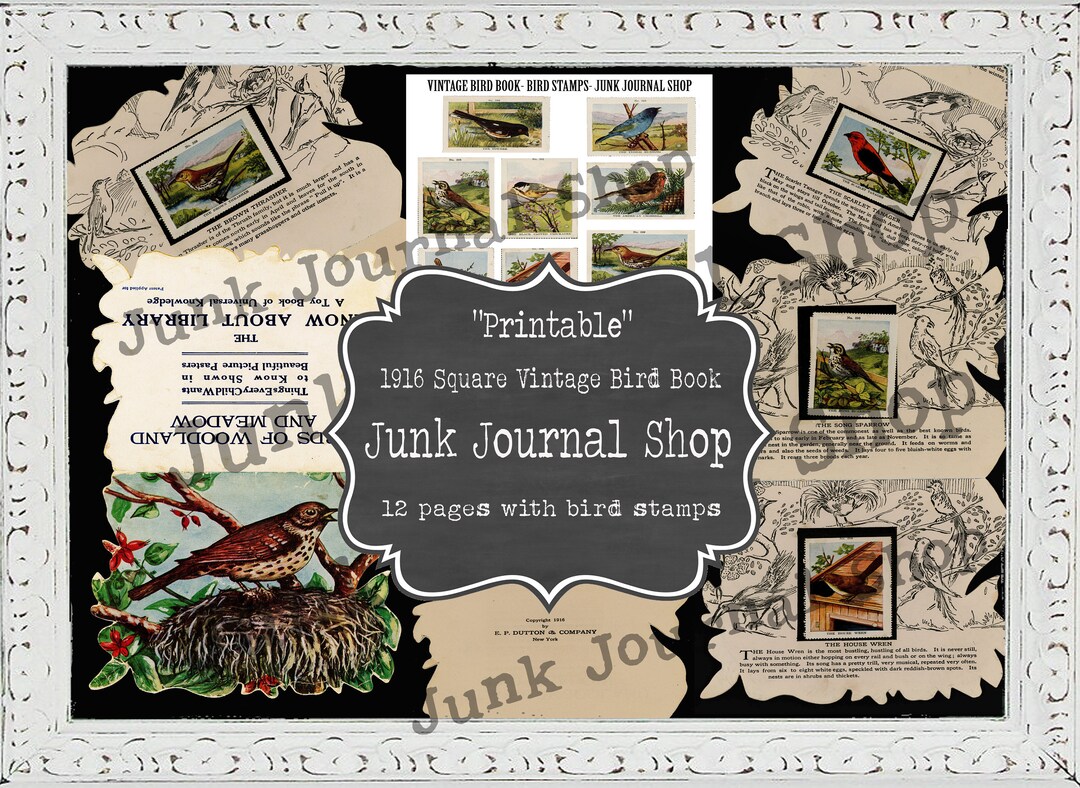 1916 SQUARE- Vintage Bird Book-printable/digital. 12 Pages Including a ...