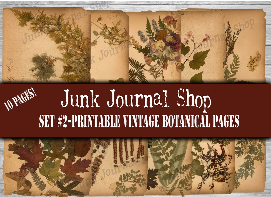 Set #2-"printable" Botanical Pages From an 1800's Scrapbook-digital ...