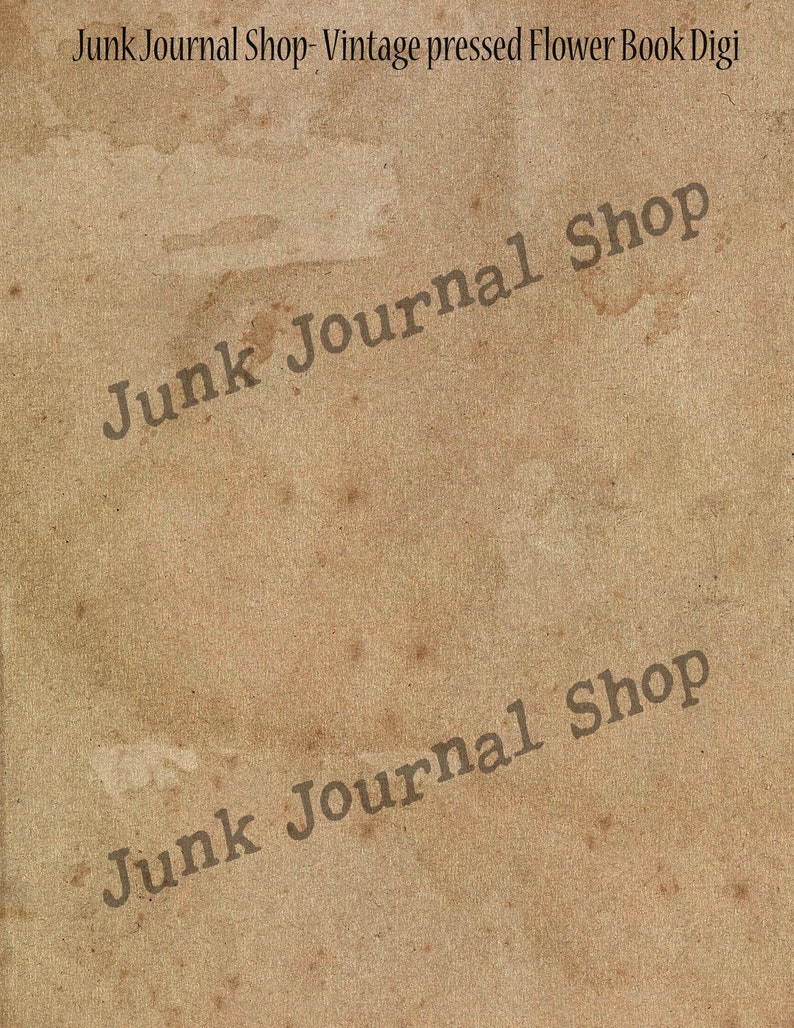 Vintage Pressed Flower Book Printable Digital Download Junk - Etsy