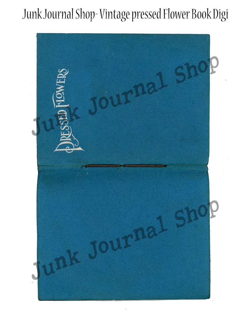 Vintage Pressed Flower Book Printable Digital Download Junk - Etsy