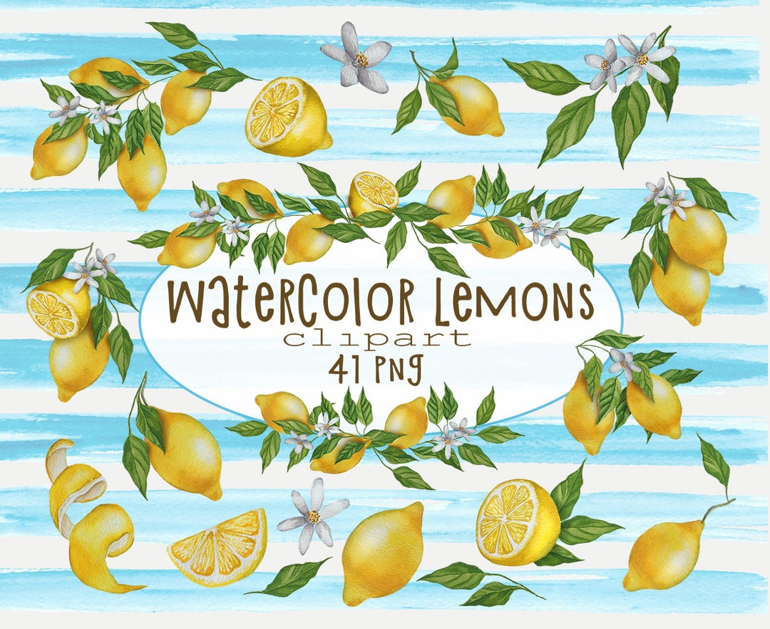 41 Watercolor Lemon Clipart Botanical Fruit Illustration PNG ...