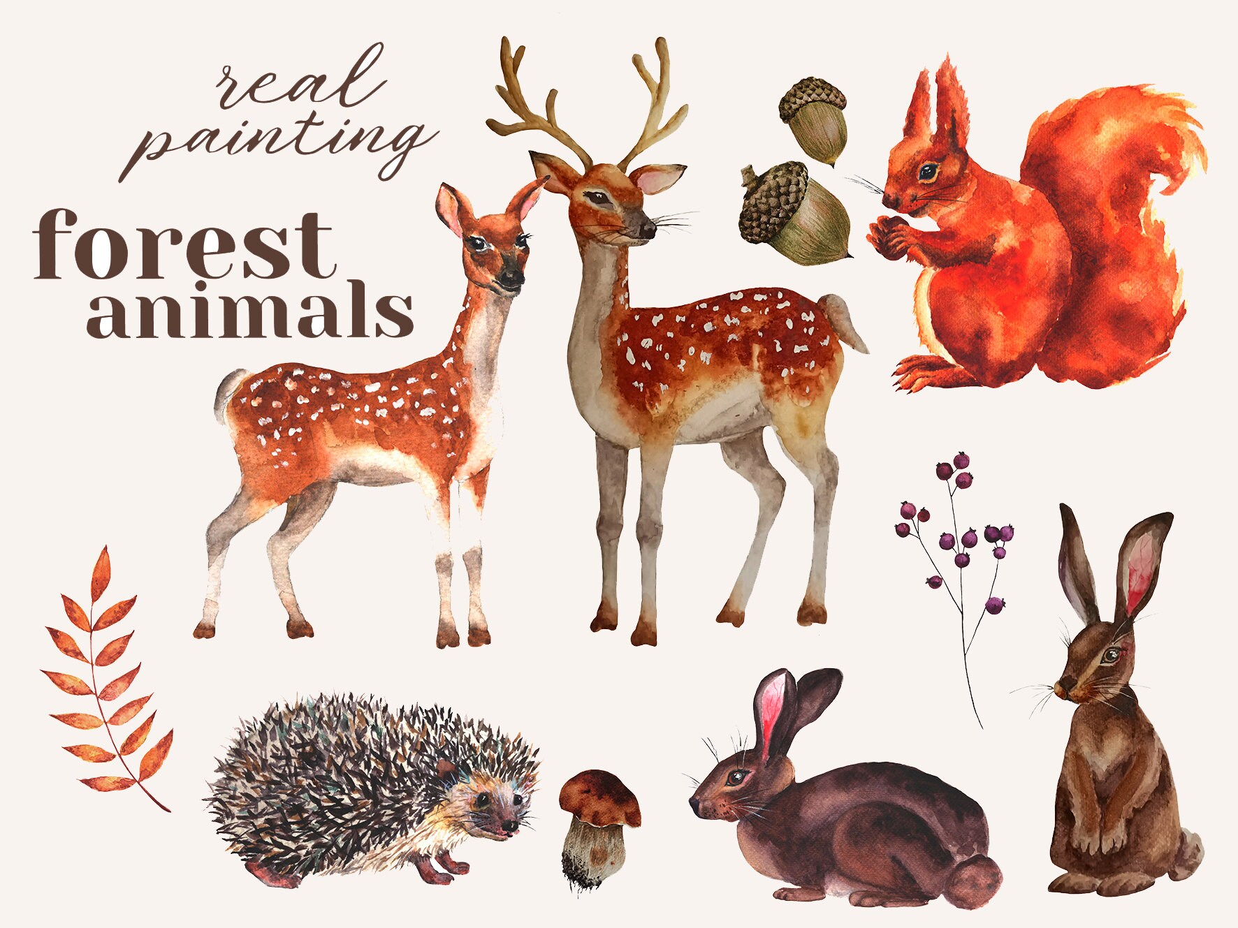 55 + Woodland Animals Clipart Watercolor Deer Floral Fall Cute Rabbit ...