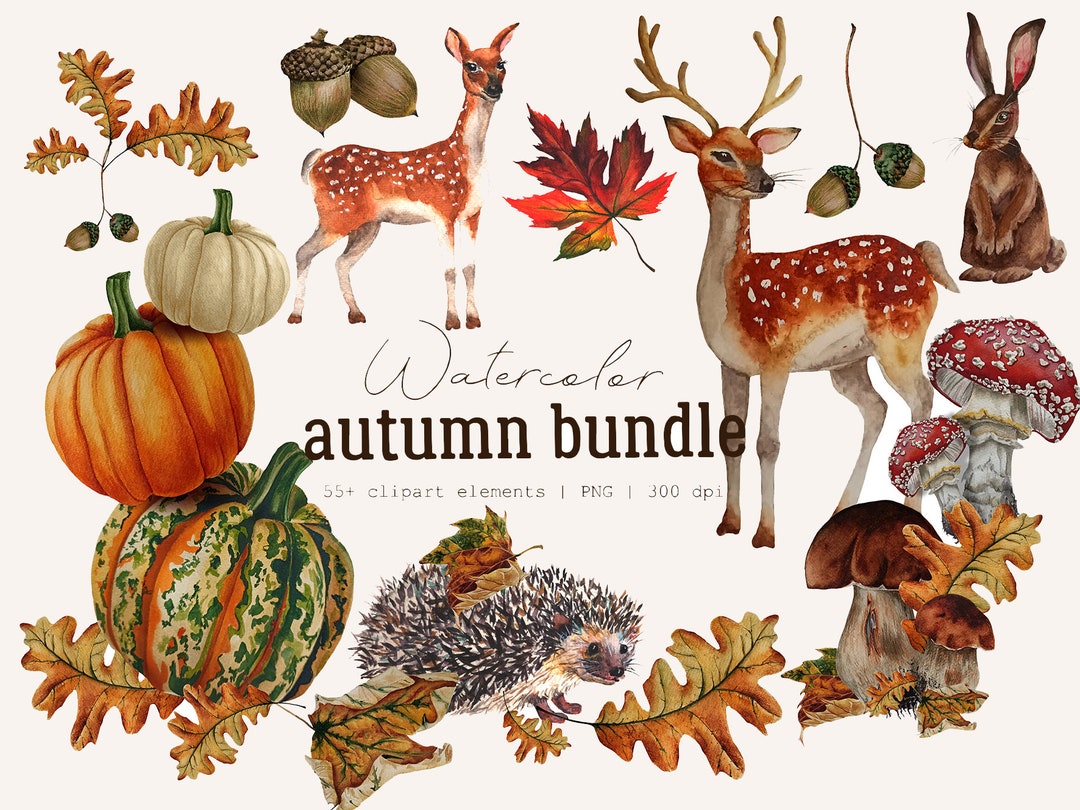 55 + Woodland Animals Clipart Watercolor Deer Floral Fall Cute Rabbit ...
