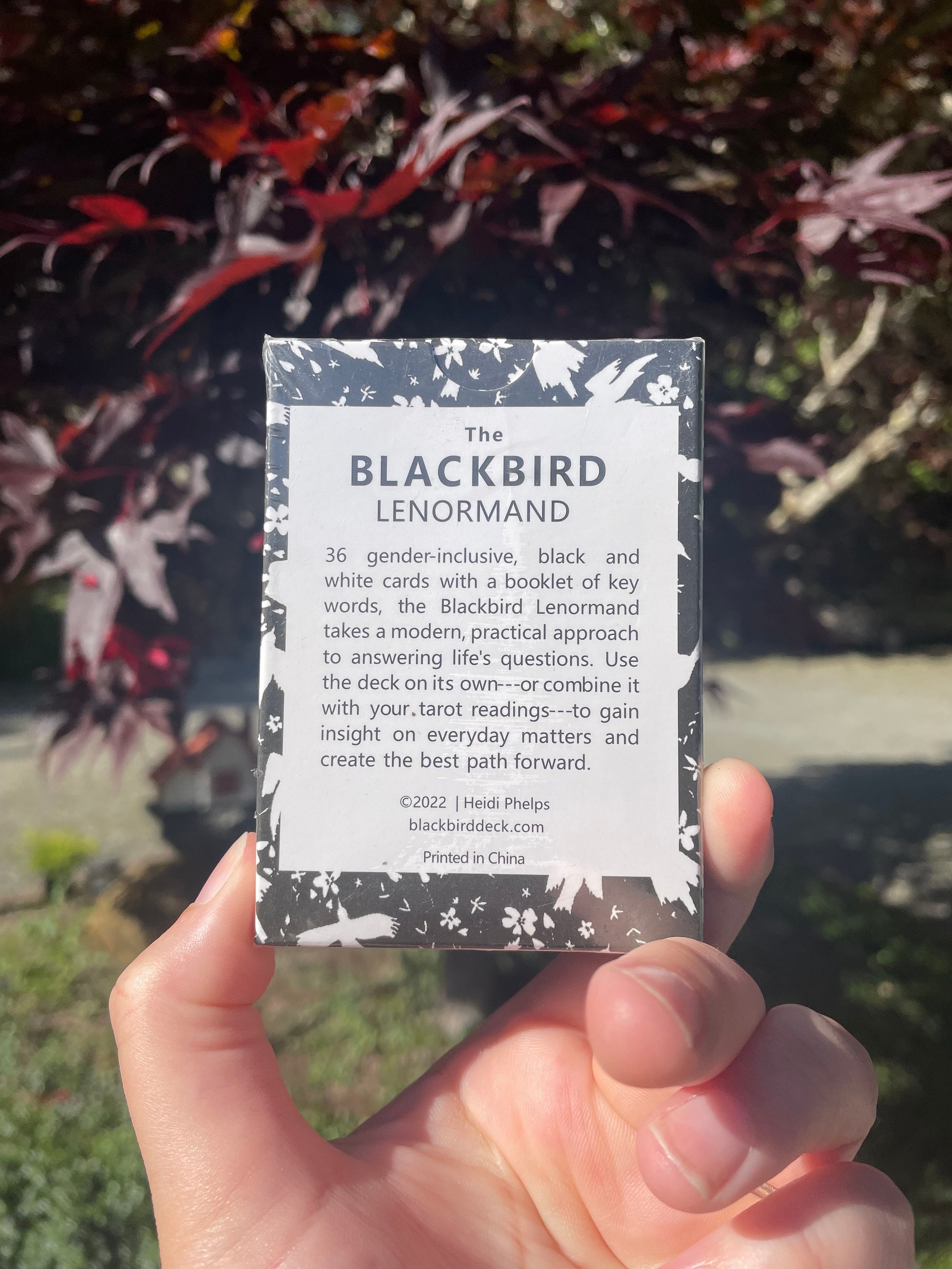 The BLACKBIRD LENORMAND: A Practical Divination Deck 36 Cards - Etsy