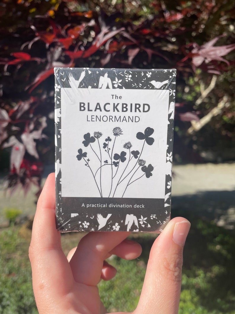 The BLACKBIRD LENORMAND: A Practical Divination Deck 36 Cards - Etsy