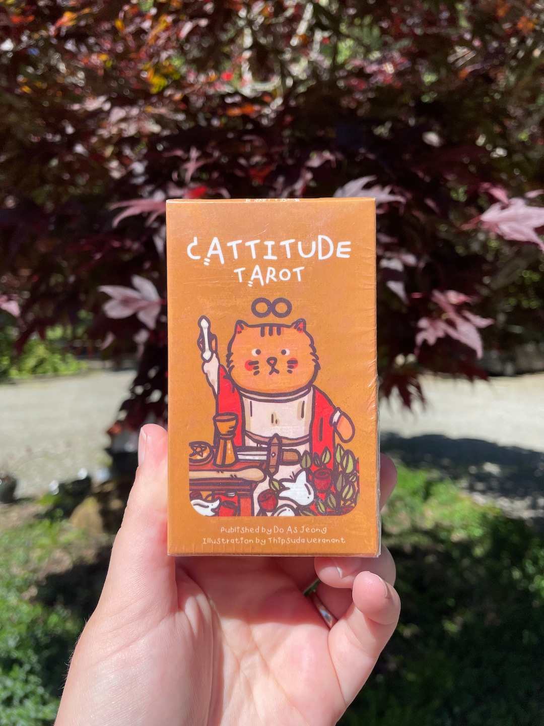 Cattitude Tarot Deck 79 Cards RARE - Etsy