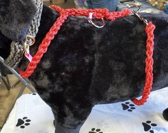 Paracord Instant Harness for Your Dog Etsy UK