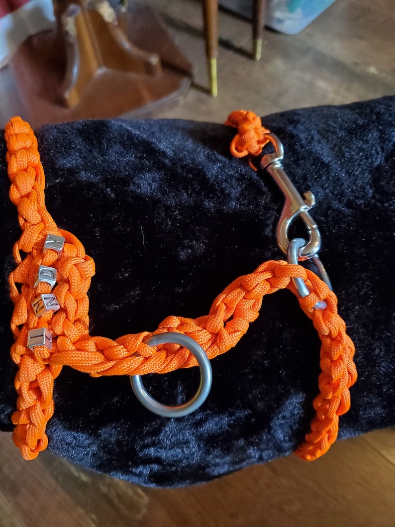 Paracord Instant Harness for Your Dog! - Etsy