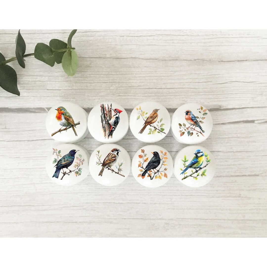 Bird Drawer Knobs, English Bird Knobs, Dresser Pulls, Handles, Robin ...