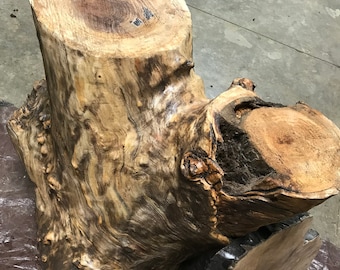 Tree stump table | Etsy