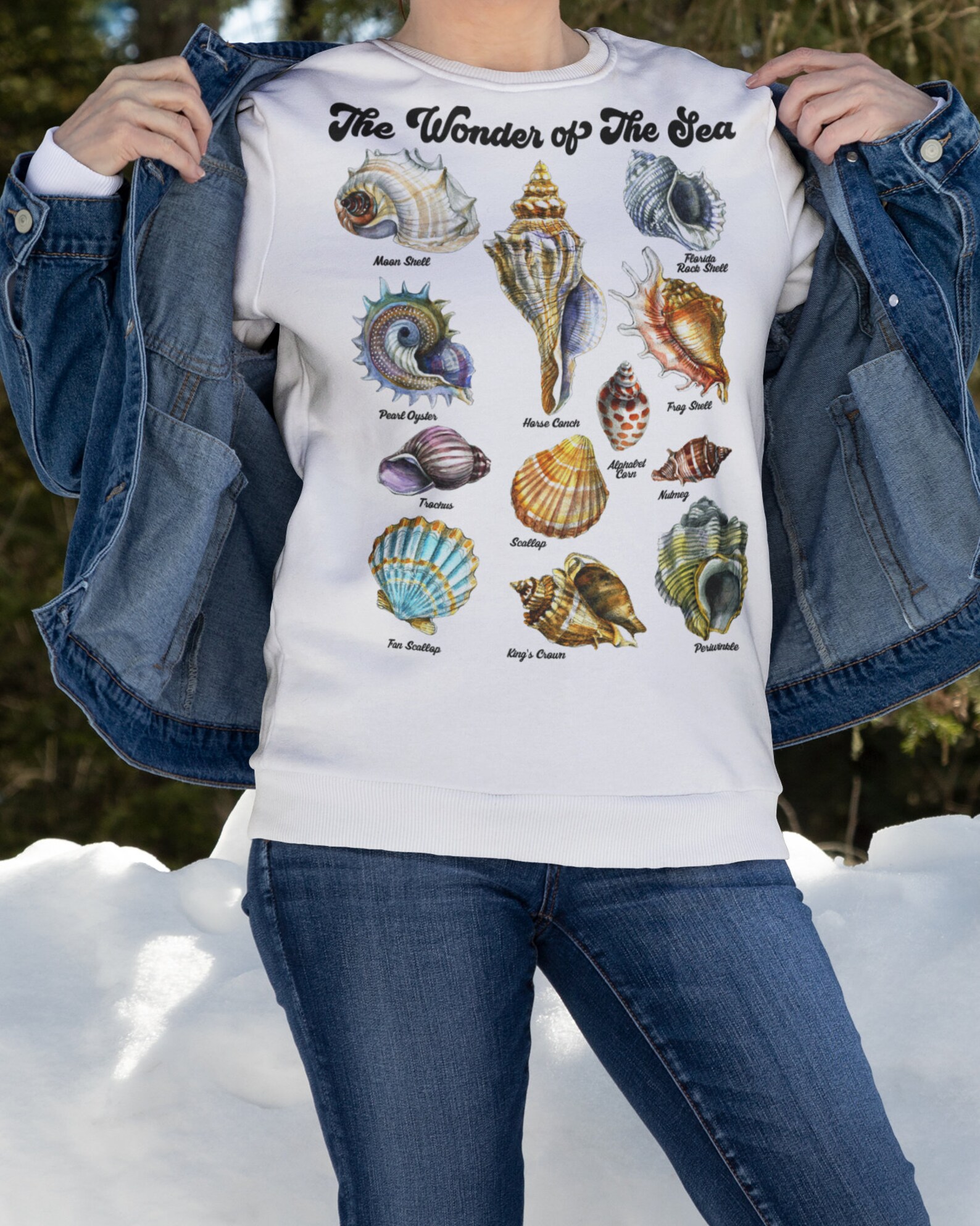 Beach Sweatshirt Cozy Ocean Sweater Cute Seashell Shirt - Etsy