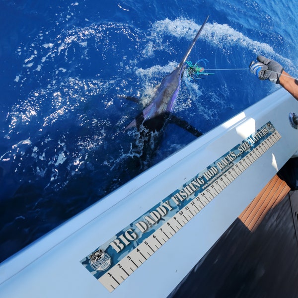 Fish Ruler Svg - Etsy