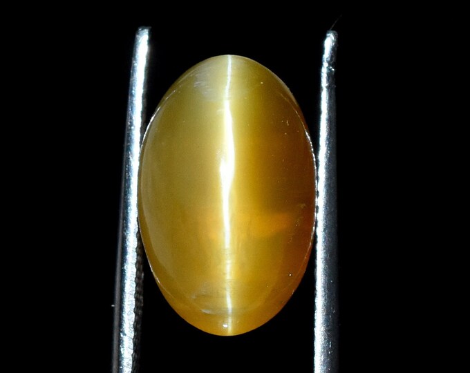 Honey Opal Cats Eye 9.5x14.7 MM Oval Shape Opal Cats Eye Exactly Like A ...