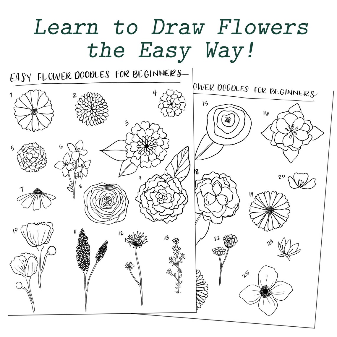 How to Draw Flowers Worksheet, Easy Flower Doodles for Beginners - Etsy