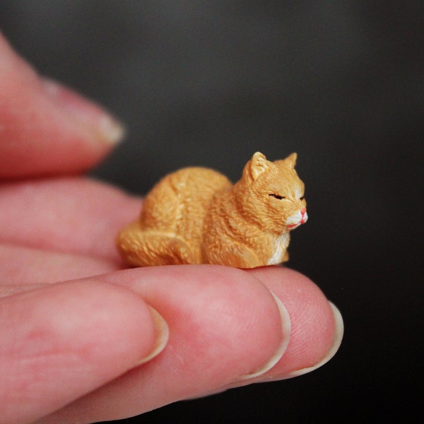 Miniature Cats - Etsy
