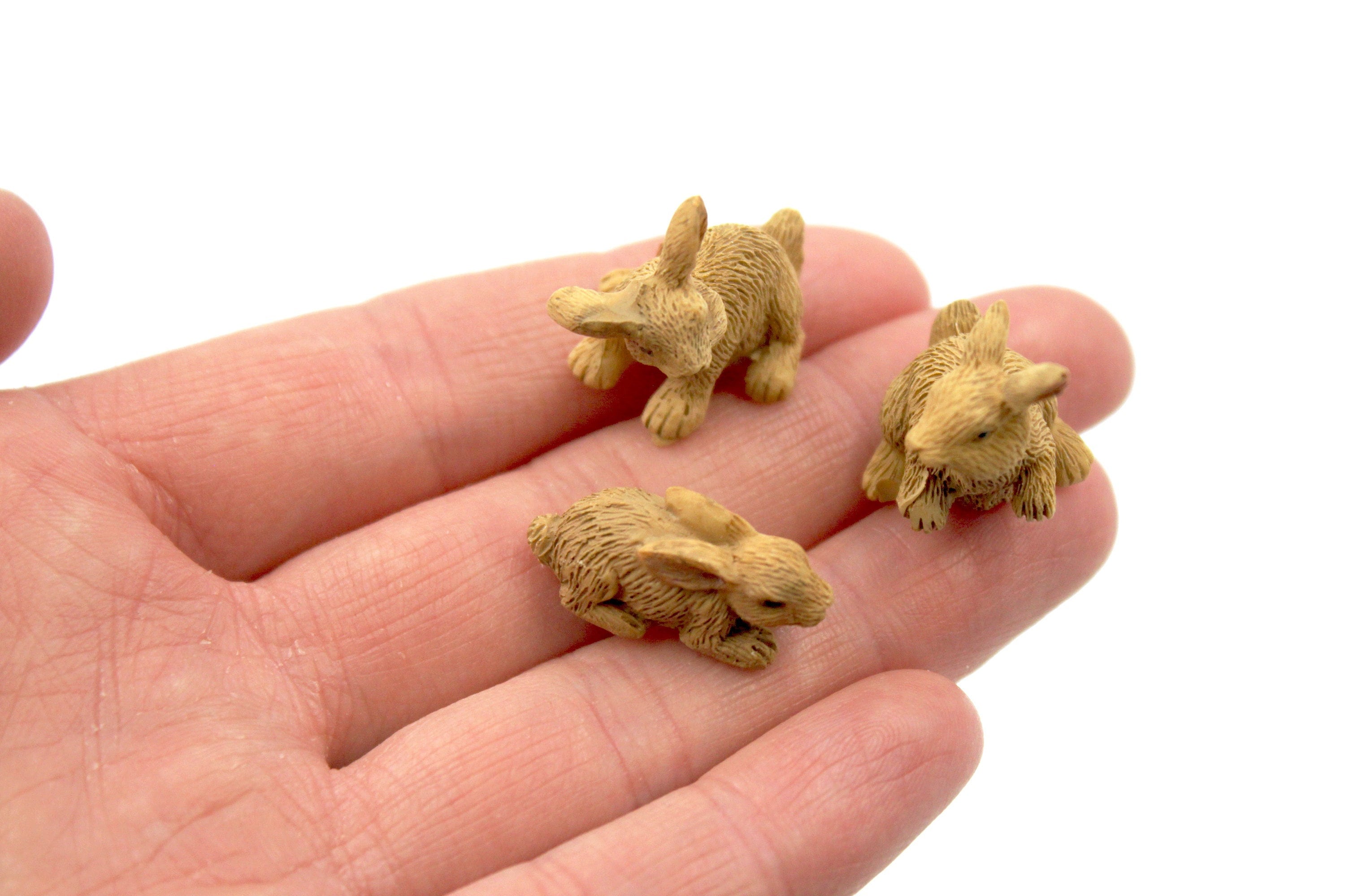 Smallest Rabbit In The World