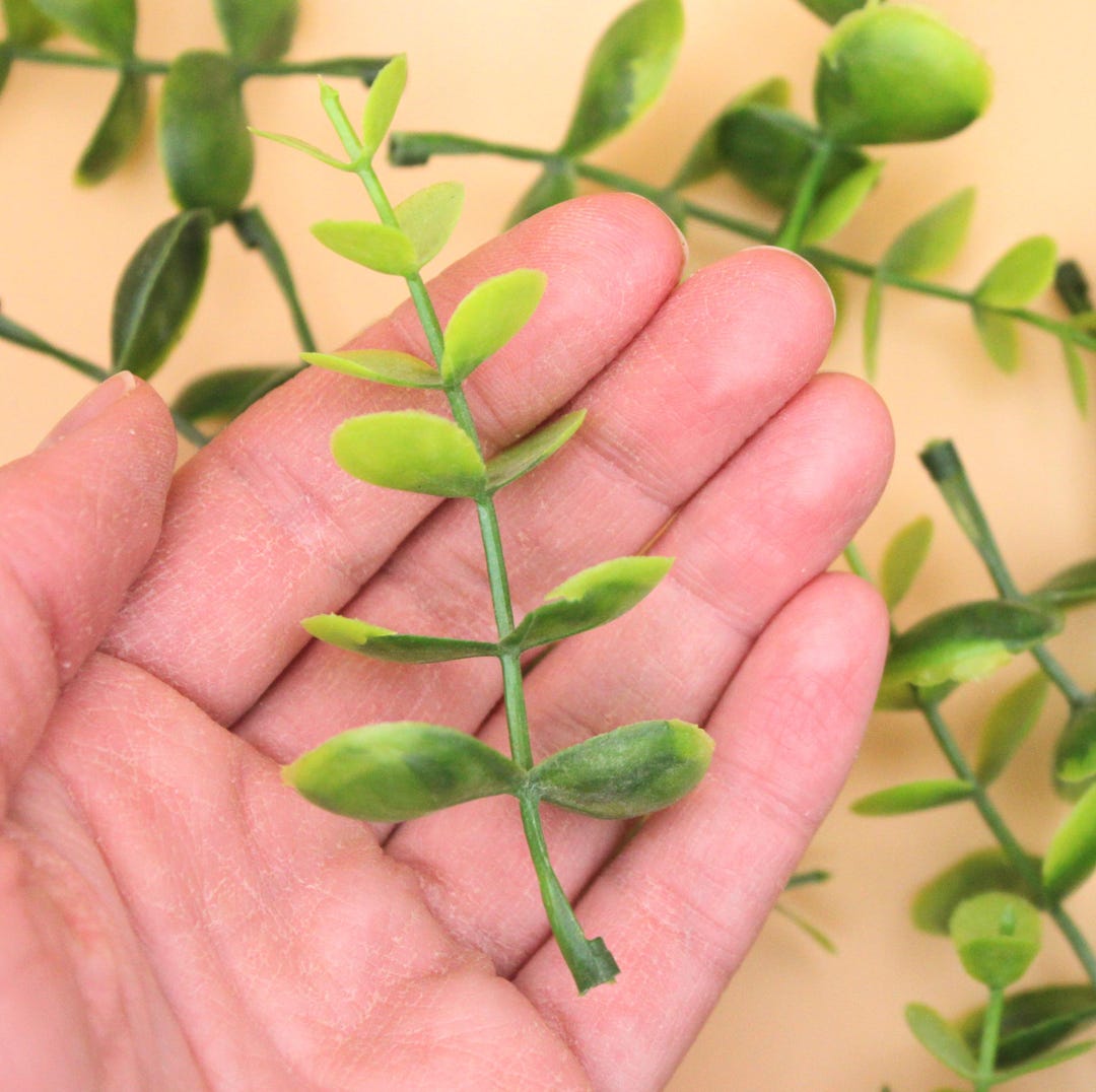 Eucalyptus 20pk Greenery: Mini Realistic Leaf Branches - Etsy