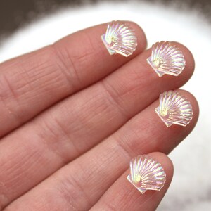 Seashells 40 Pcs Clear Polyresin Shimmer Sea Shell for Zen Garden ...
