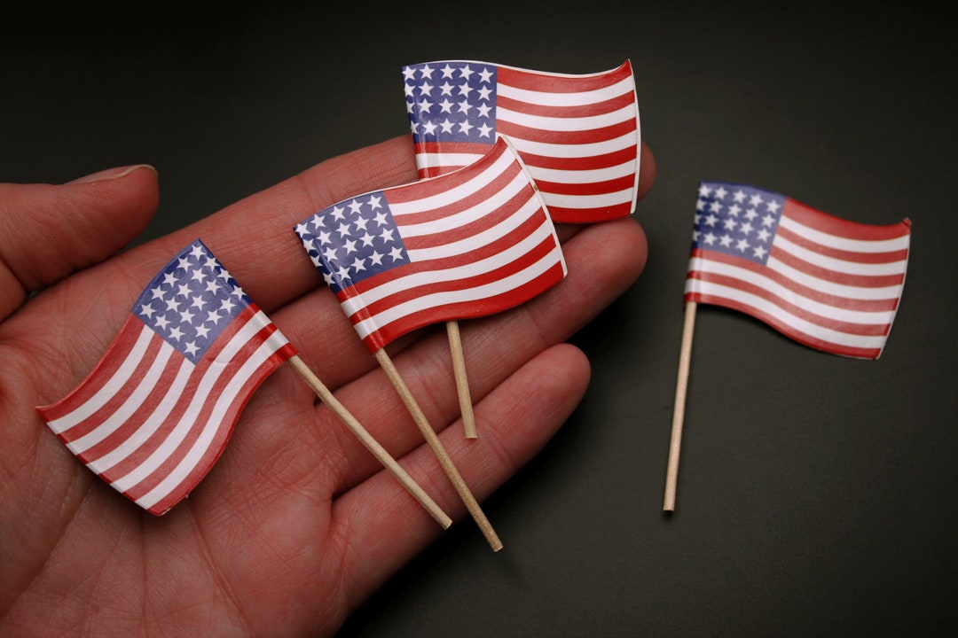 American Flag 12 Pk Miniature 1:50 Scale Paper Flags for Fairy Garden ...