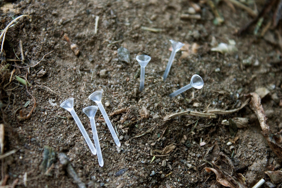 Tiny Pegs 50 or 100 Pk Stakes for Miniature Fairy Gardens - Indoor ...