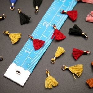 Tassels 25 Pk Micro Red or Surprise Color Mix of Extra Tiny Tassel ...