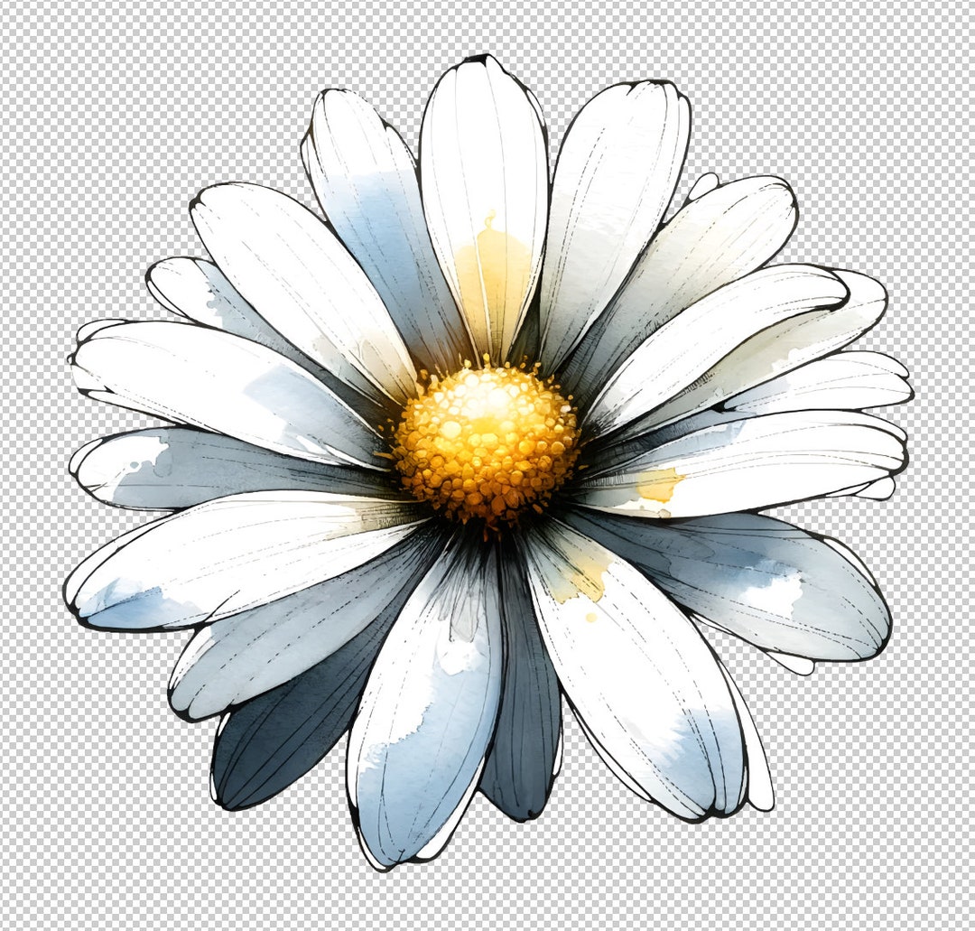 Watercolor Daisy SVG Vector Sticker Instant Download, PNG & PDF Sticker ...