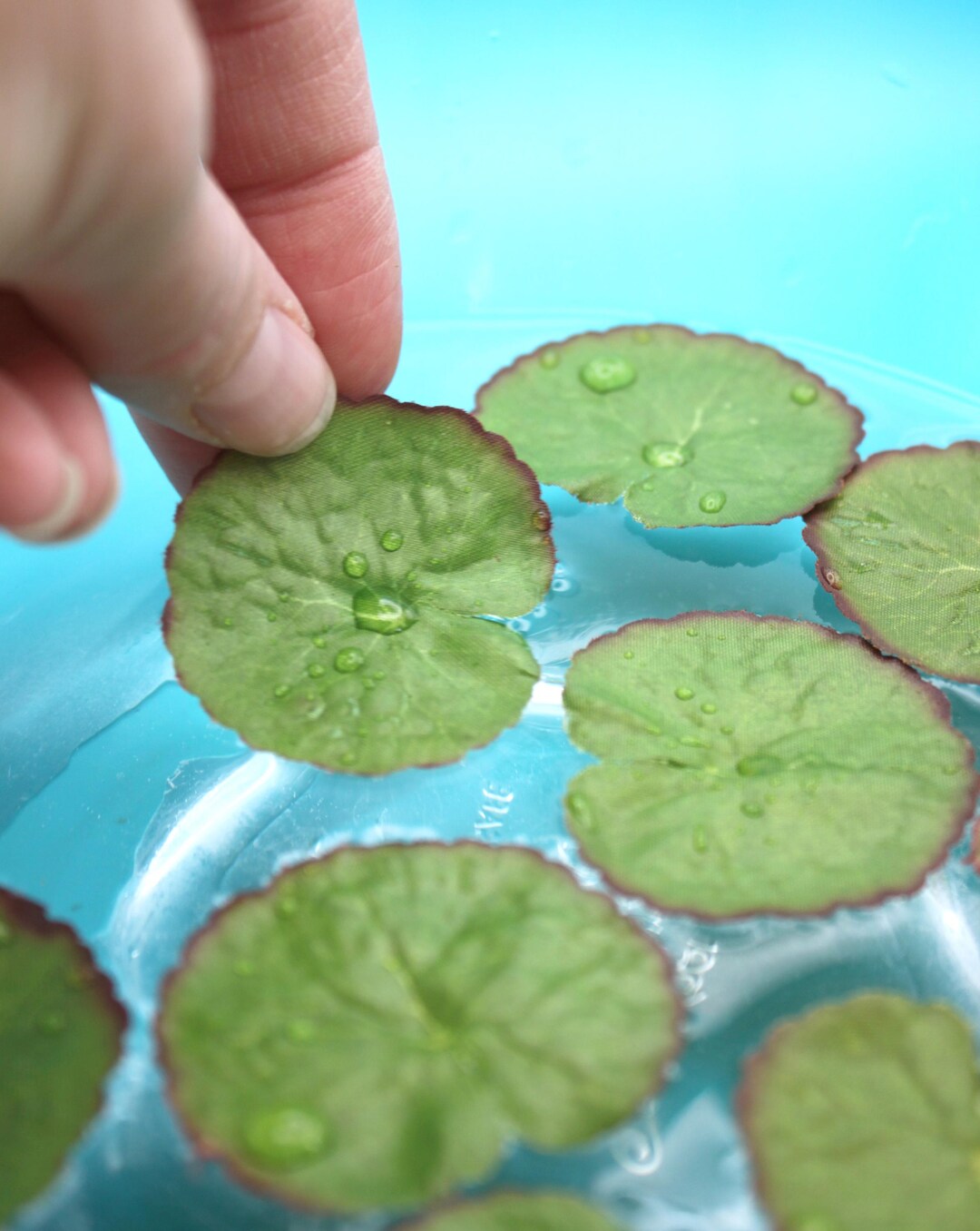 Floating Lily Pads: 8pk Miniature Silk Lotus Leaves, Fairy Garden Decor ...