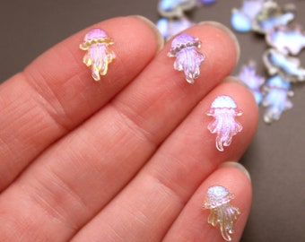 Micro-mini Conch Shell Sets of 12 - Etsy