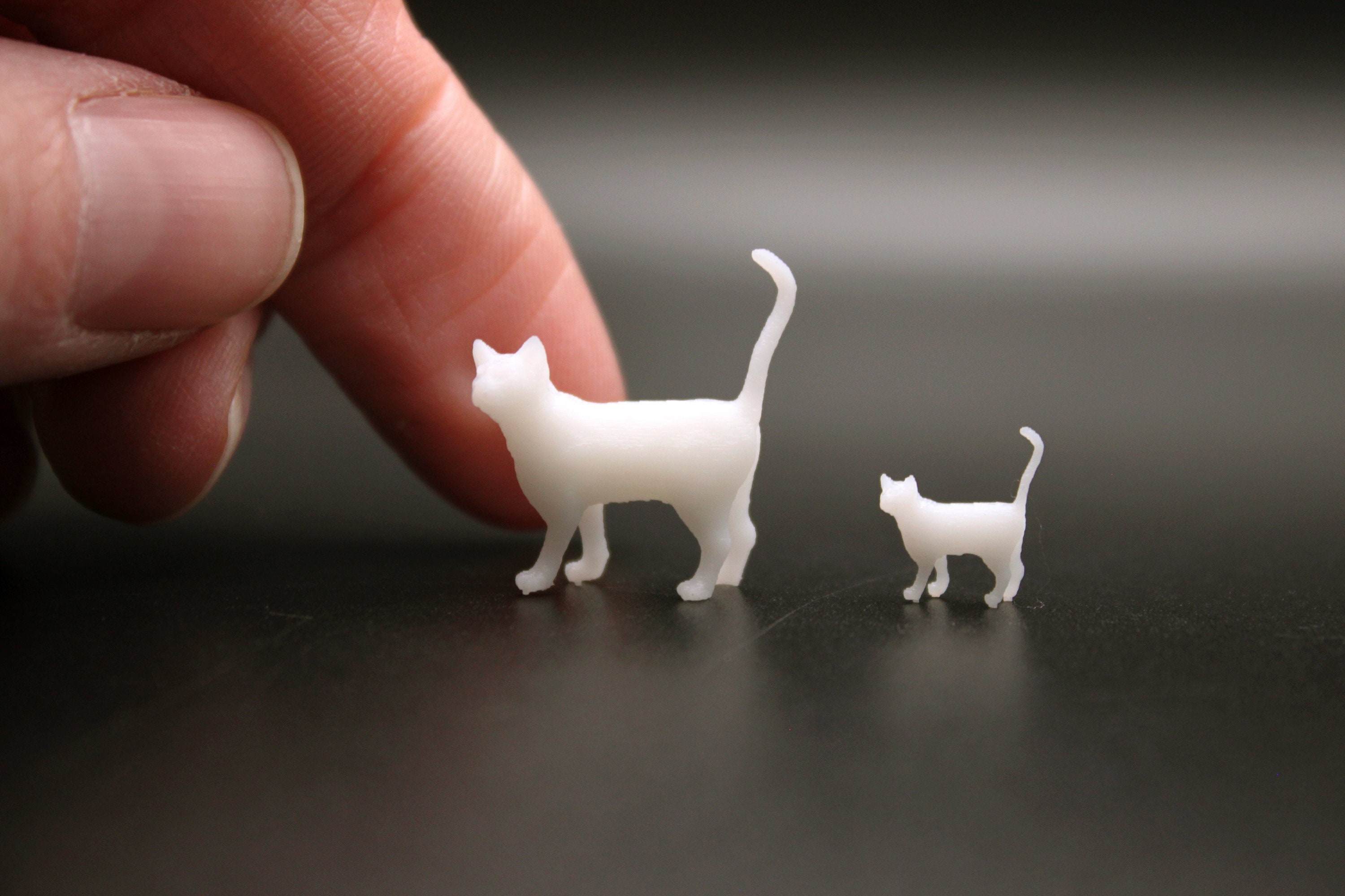 Micro Teacup Cats