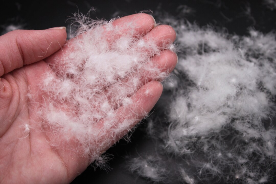 Duck Down Fluff: 10g Natural Soft Feathers for Miniature Crafts - Etsy