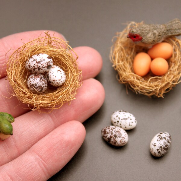 Tiny Birds Nest - Etsy