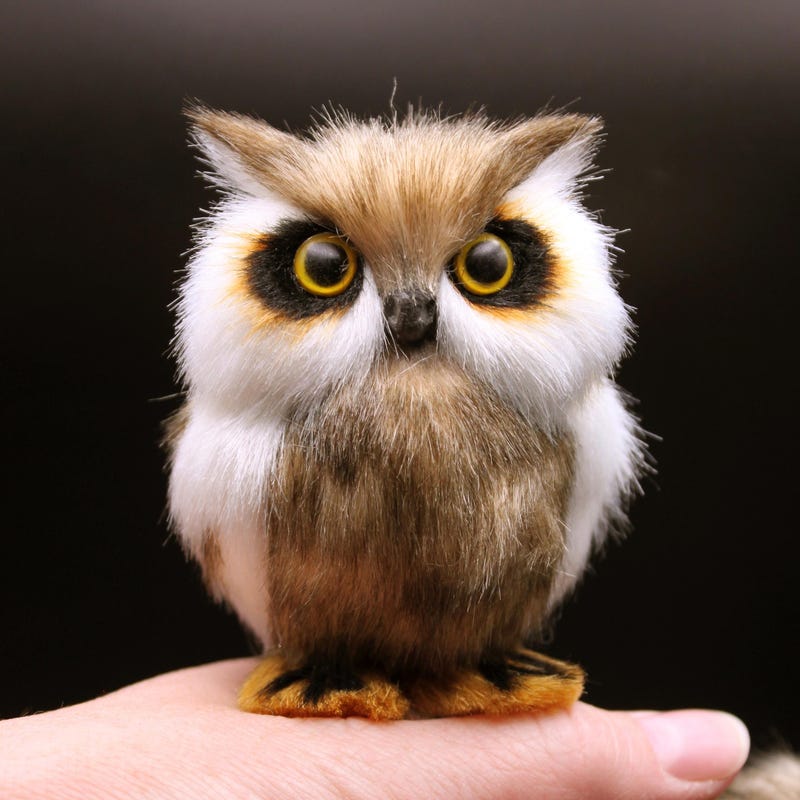 Realistic Owl - Etsy