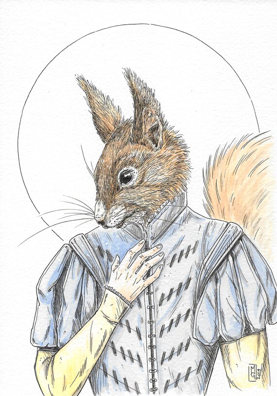 Squirrel Wearing a Doublet Drawing | Etsy
