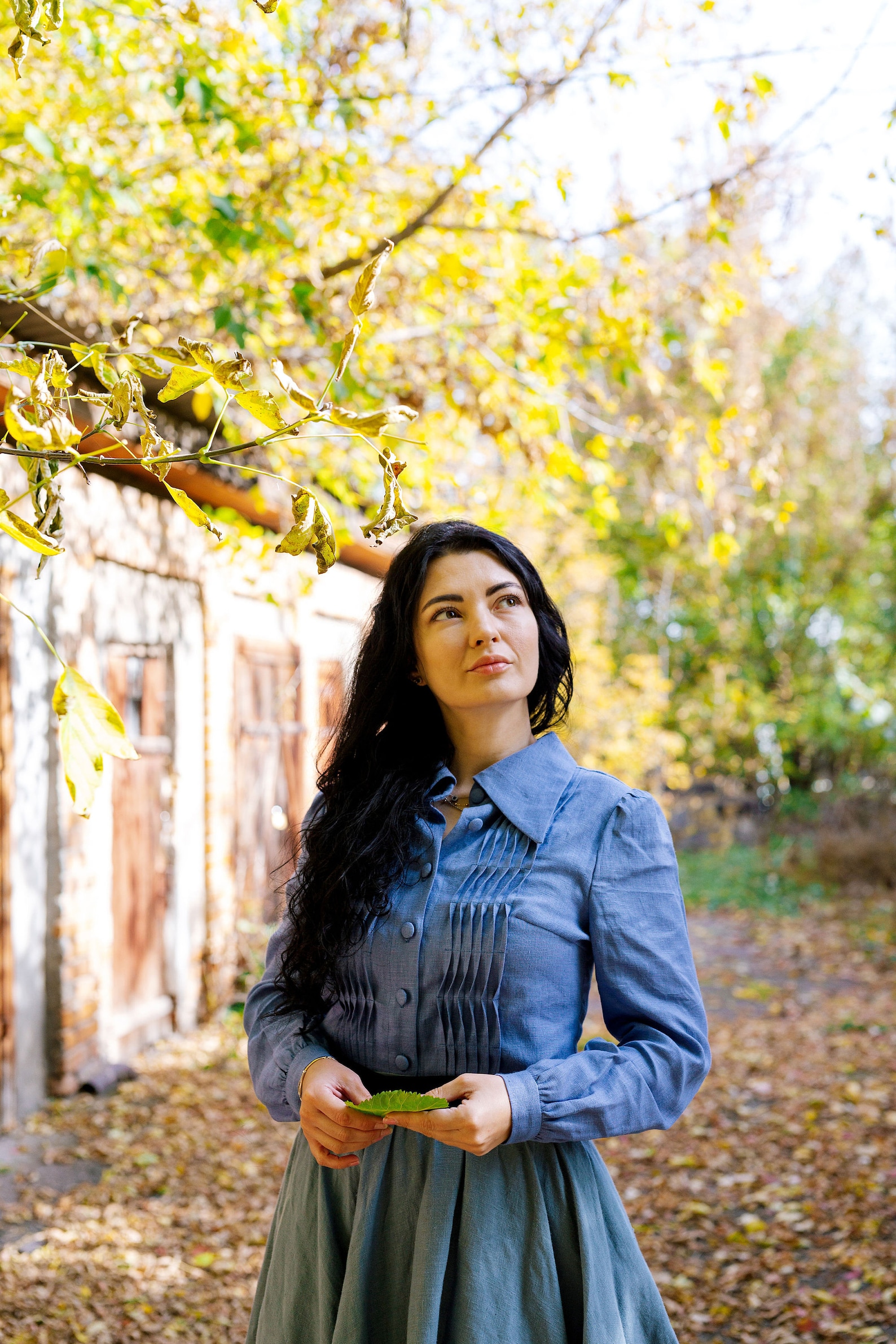 ANNE Women Linen Shirt With Long Sleeves Pointed Collar - Etsy