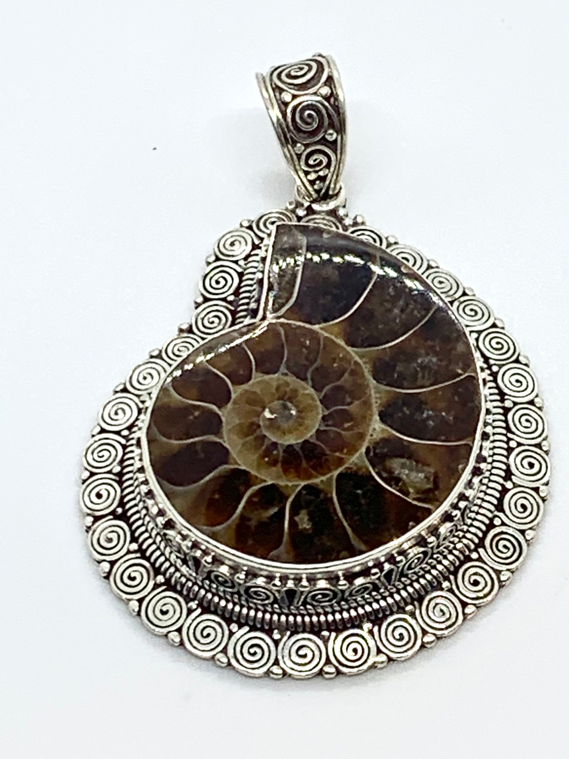 Ammonite Pendant With Silver Chain I Handmade in Nepal - Etsy