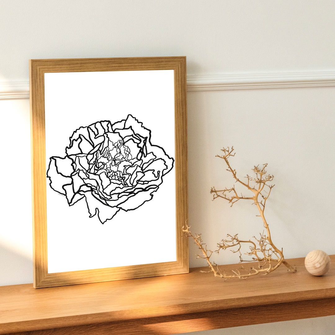 Carnation Line Art | January Birth Flower | Digital Download ...