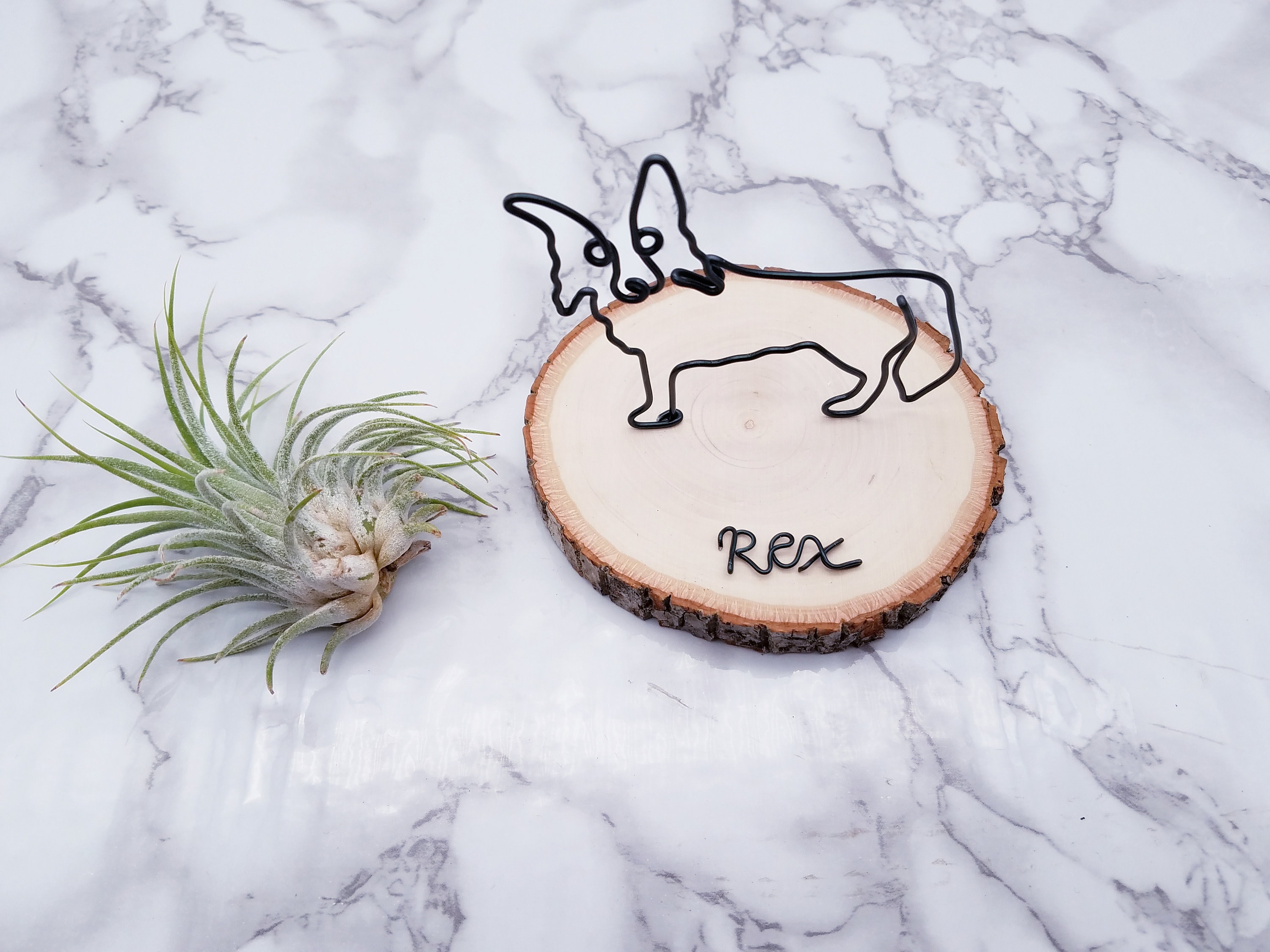 Wire Sculpture of Border Collie Pet Memorial Pet Portrait - Etsy