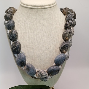 Traditional Hawaiian Kupee Shell Lei, Hawaiian Shell Choker, Polished ...