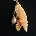 Big Mouth Momi Shells, Niihau Shell Jewelry, Classic Hawaii Necklace ...