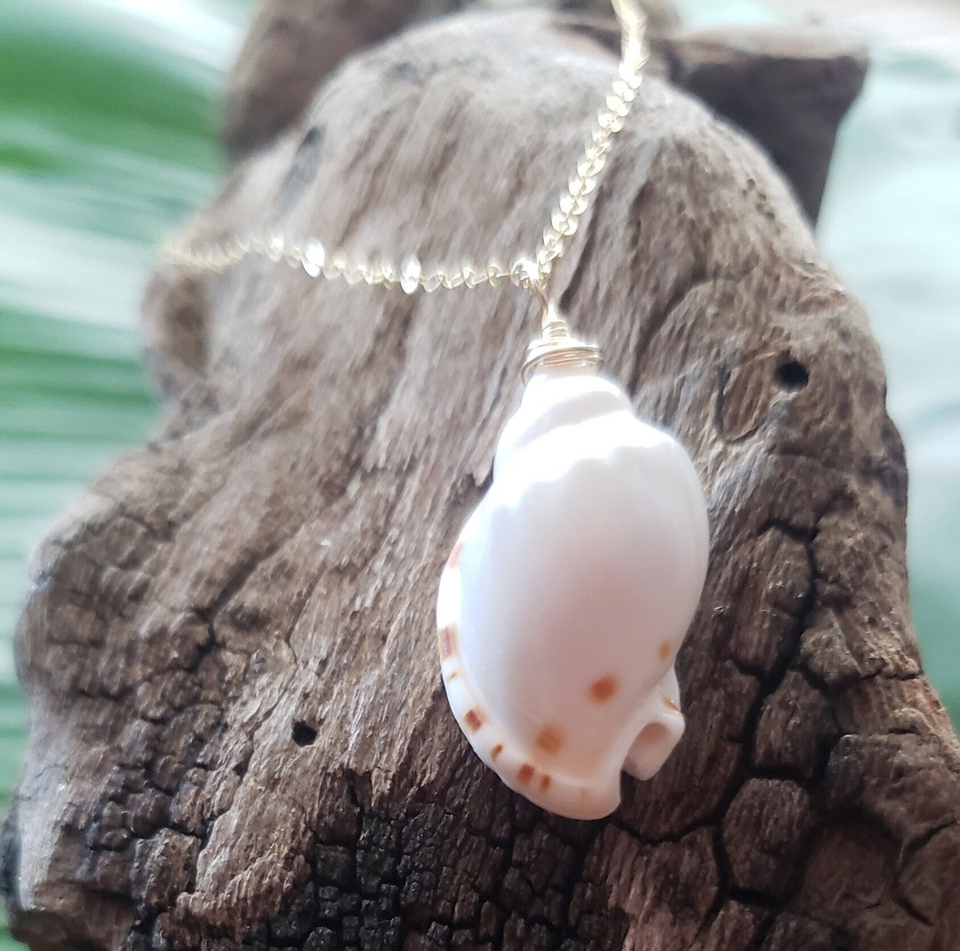 Scotch Bonnet Shell, Hawaiian Shell Necklace, Hawaiian Seashell Pendant ...