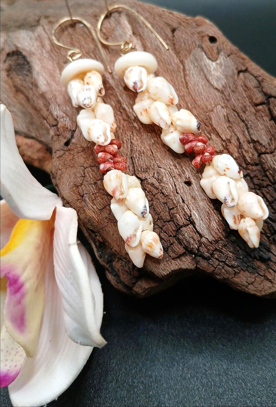 Momi Shell Earrings, Hawaii Shell Dangles, Momi Shells Niihau ...