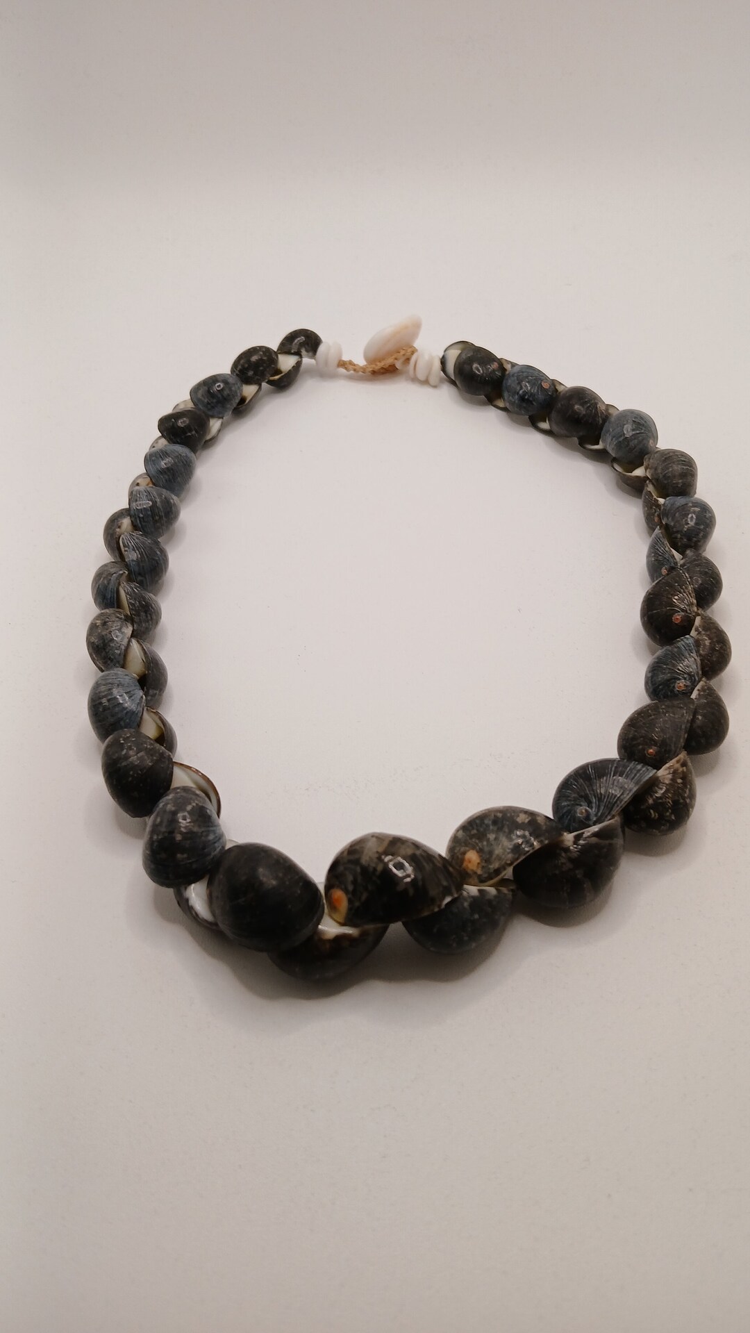 Traditional Hawaiian Kupee Shell Lei, Hawaiian Shell Choker, Polished ...