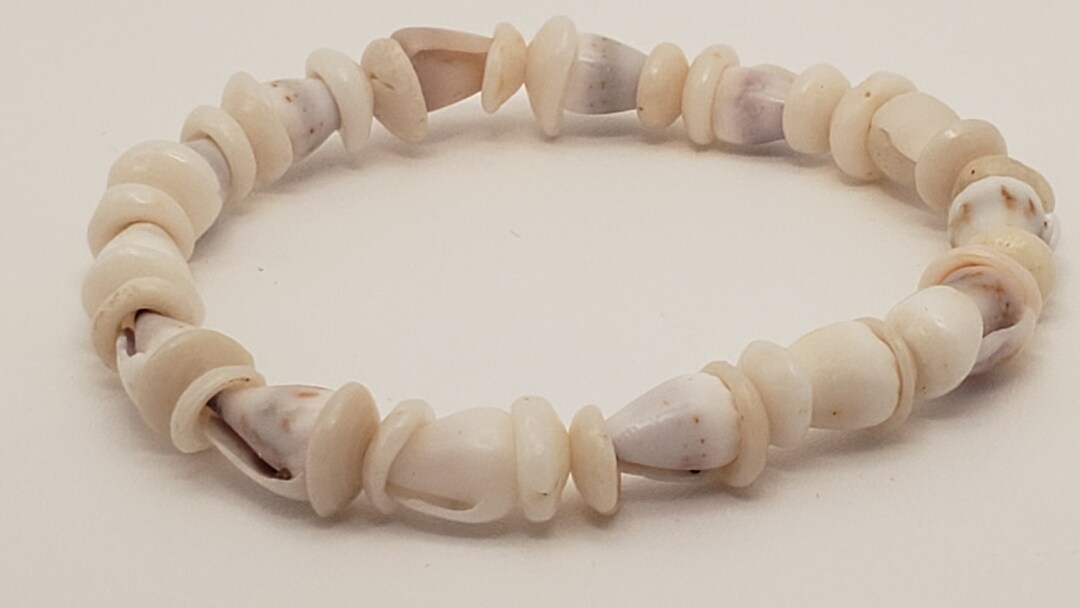 Small Dwarf Cone Shells, Dainty Cone Shell Bracelet,cone Shell Stretch ...