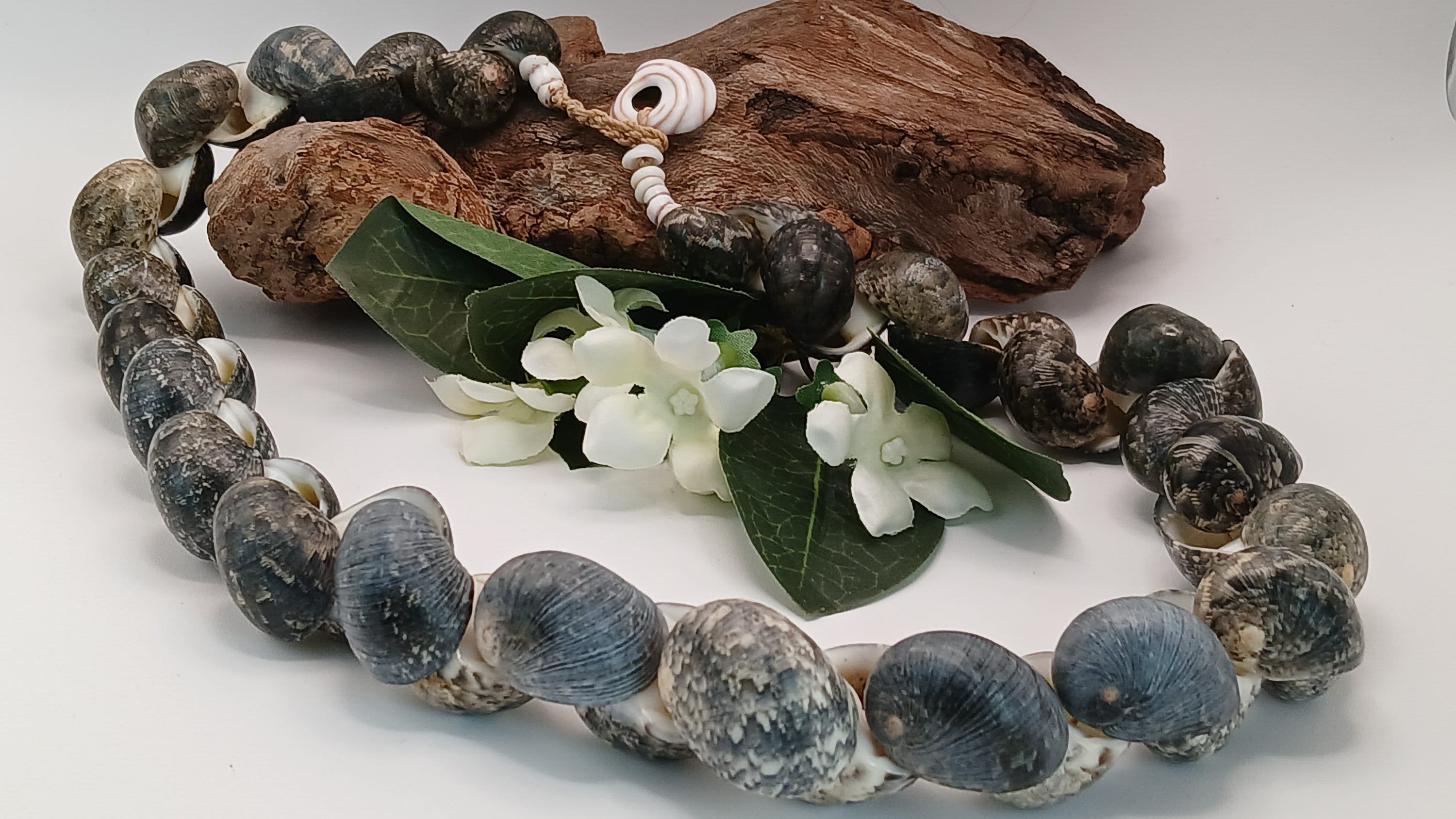 Traditional Hawaiian Kupee Shell Lei, Hawaiian Shell Choker, Polished ...