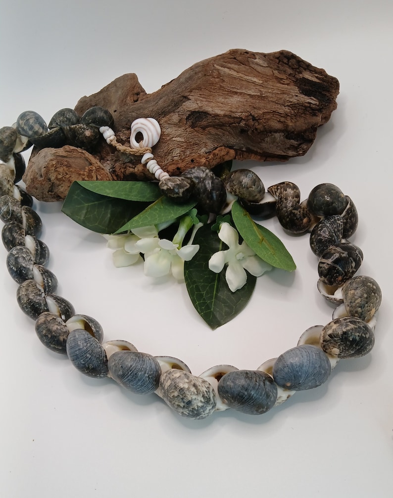 Traditional Hawaiian Kupee Shell Lei, Hawaiian Shell Choker, Polished ...