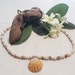Hawaii Sunrise Shell Necklace, Niihau Shell Jewelry, Laiki Shells ...