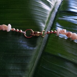 Big Mouth Momi Shells, Niihau Shell Jewelry, Classic Hawaii Necklace ...