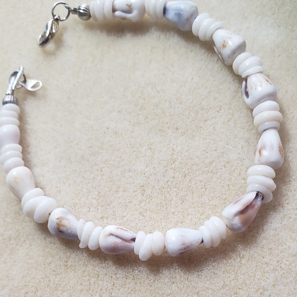 Cone Shell Jewelry - Etsy