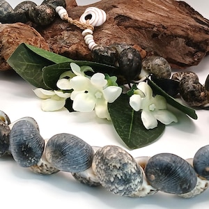 Traditional Hawaiian Kupee Shell Lei: Nerite Seashell Choker - Etsy
