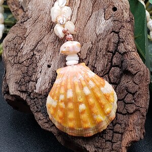 Hawaii Sunrise Shell Necklace, Niihau Shell Jewelry, Laiki Shells ...